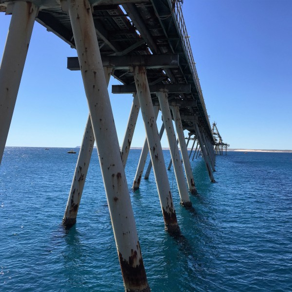 Dampier Salt Jetty Cathodic Protection Annual Performance Review